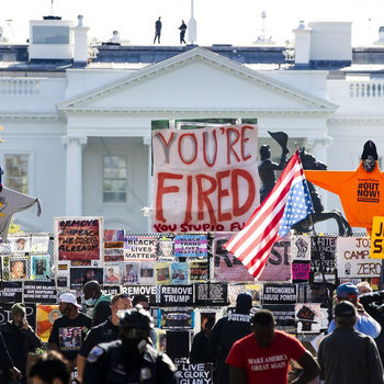 Music | The National Cynical Network