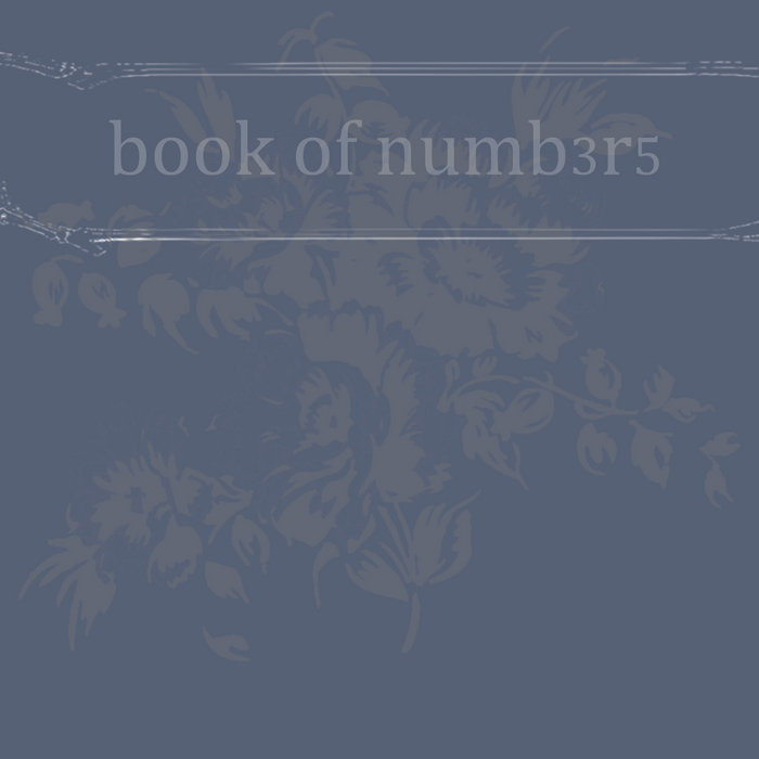 Book of Numb3r5 | Book of Numb3r5 | recorder records