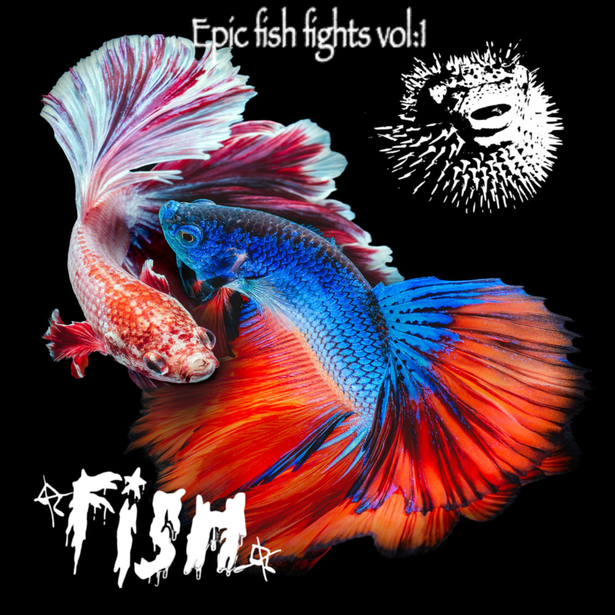 Epic fish fights | PxPxFxP, fish | PxPxFxP