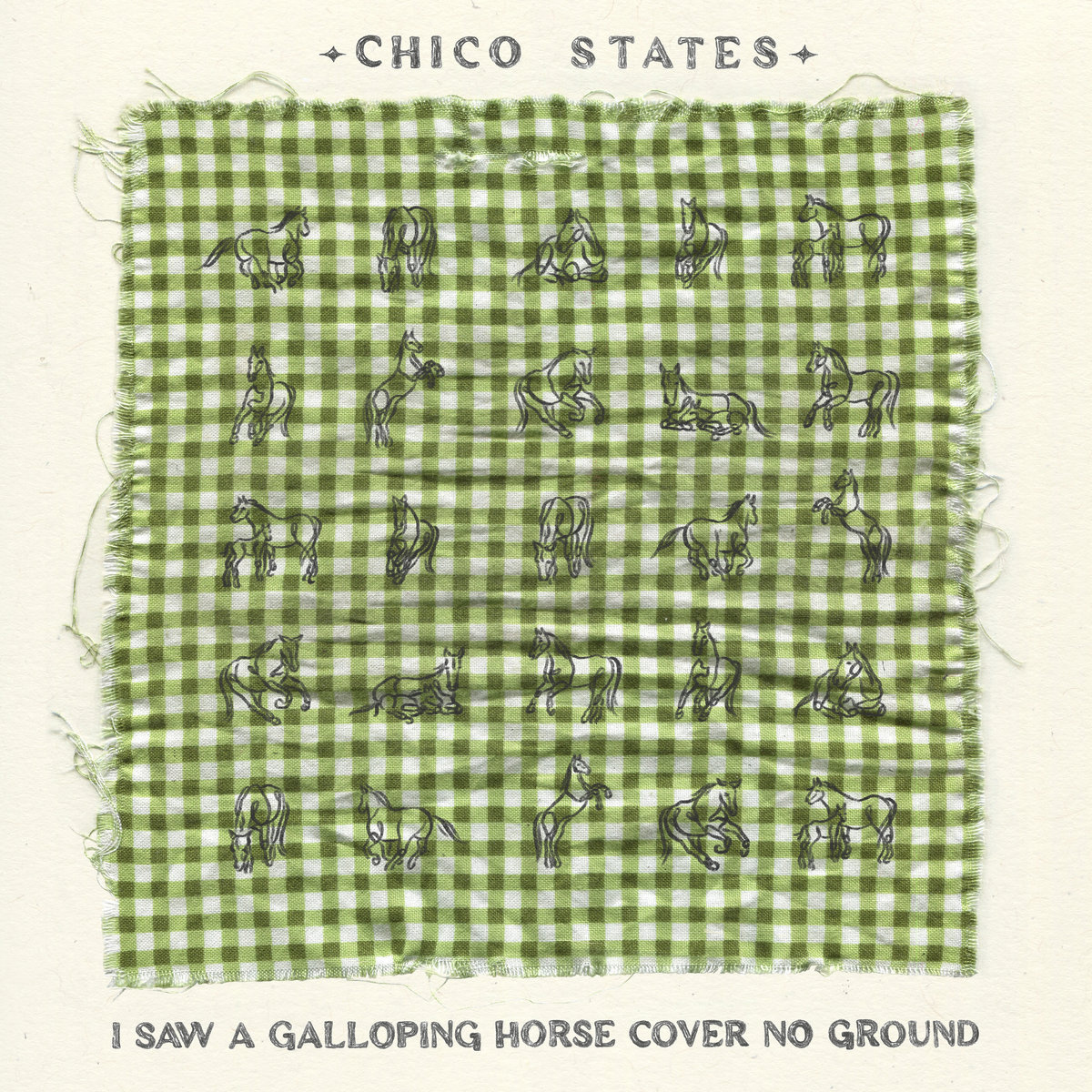 I Saw A Galloping Horse Cover No Ground | Chico States