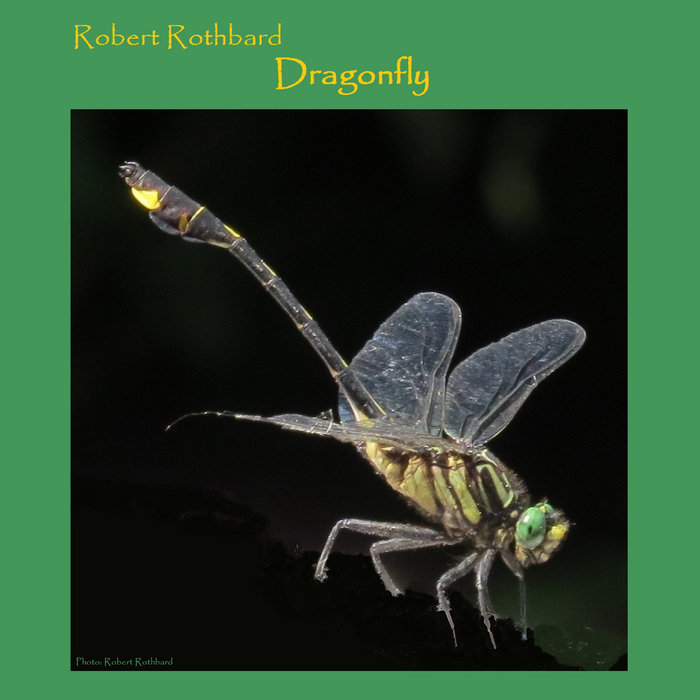 Dragonfly | Robert Rothbard