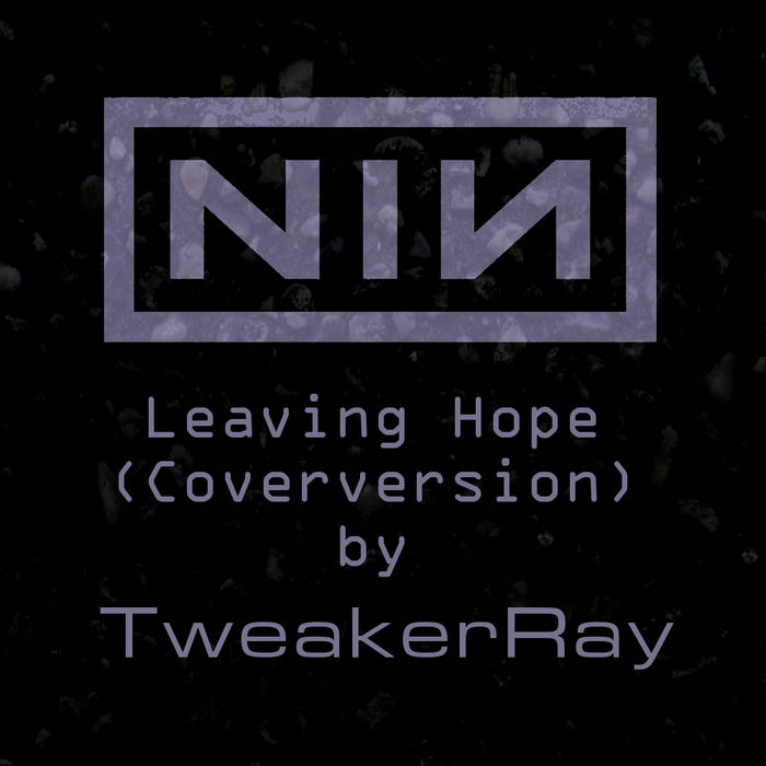 Nin Album Artwork