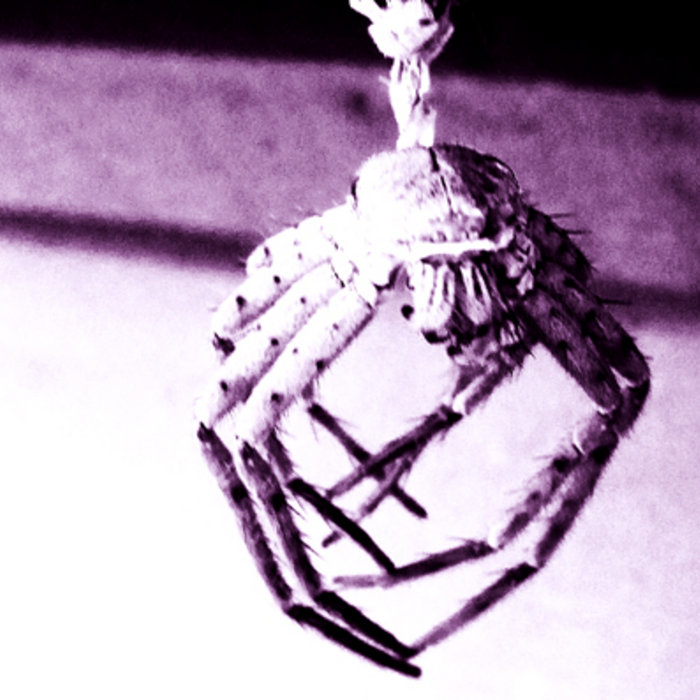 The Gubble Tapes (demos) | TRIM THE BARBER