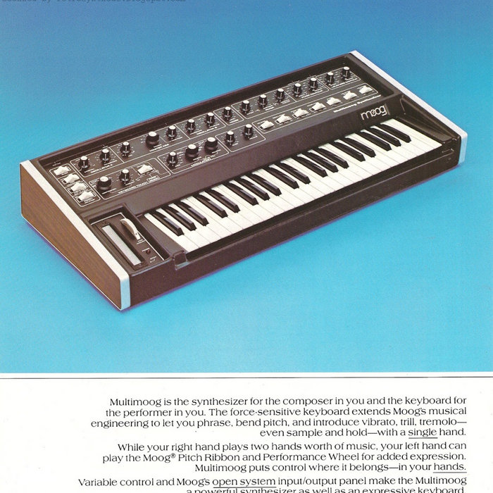 Moog MultiMoog (Sound Library) | theBINDING