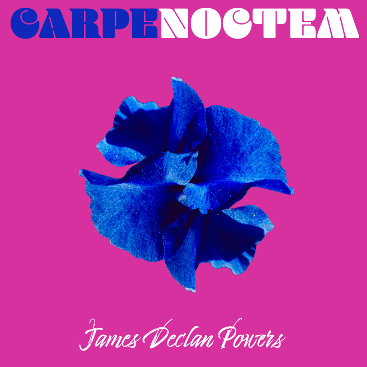 CARPE NOCTUM | James Declan Powers