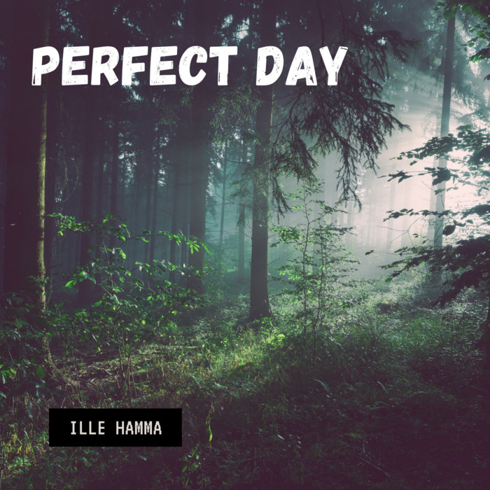 Perfect Day ( Single ) | Ille Hamma