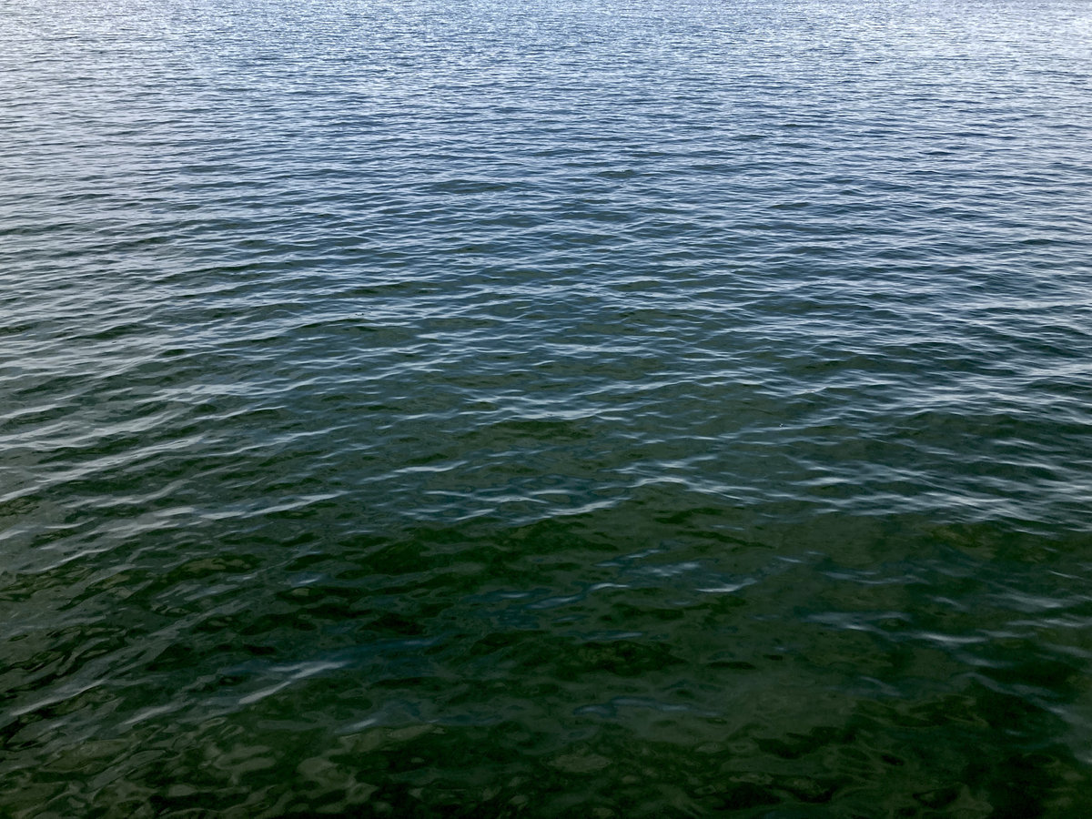 DeepSpace1 | Roger Haddad