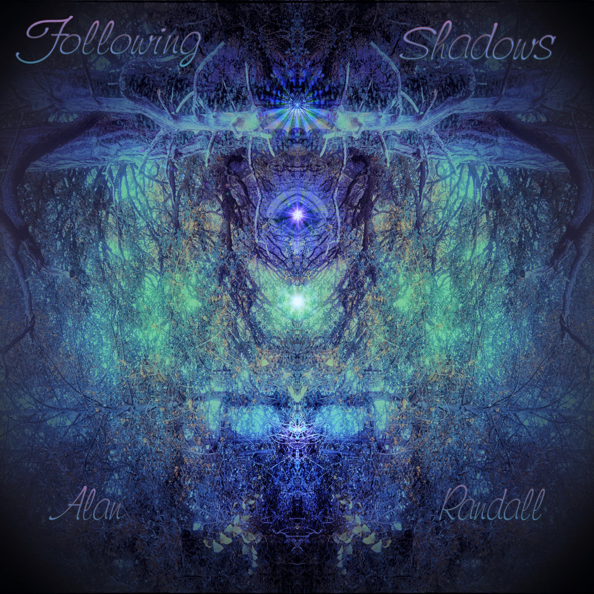 Following Shadows | Alan Randall