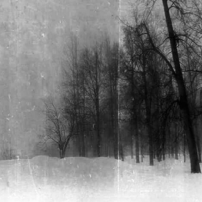 Disillusioned Manifestation | Thyocian