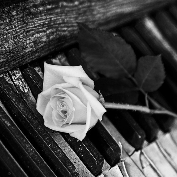 Into the Distance (Ambient piano) | Remember White