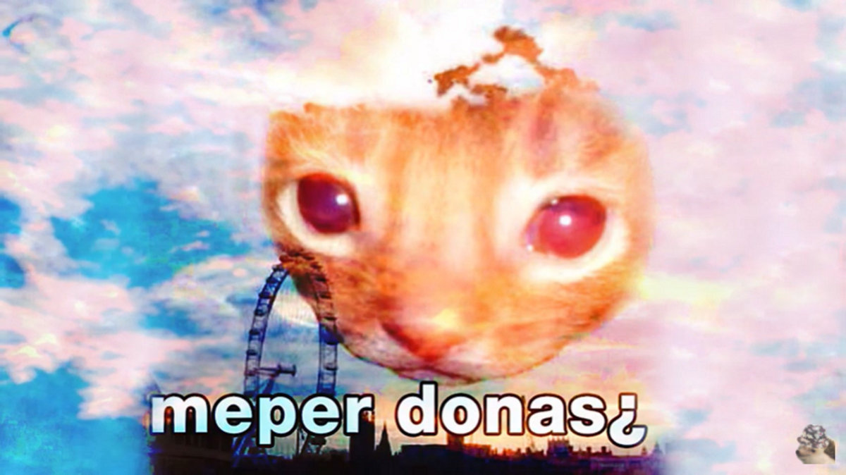 meper donas | dinovo