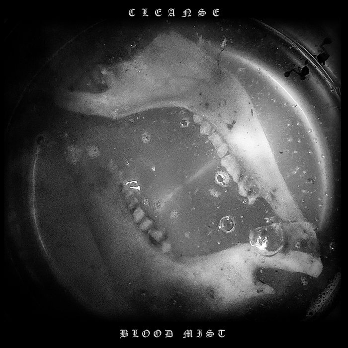 Blood Mist | Cleanse