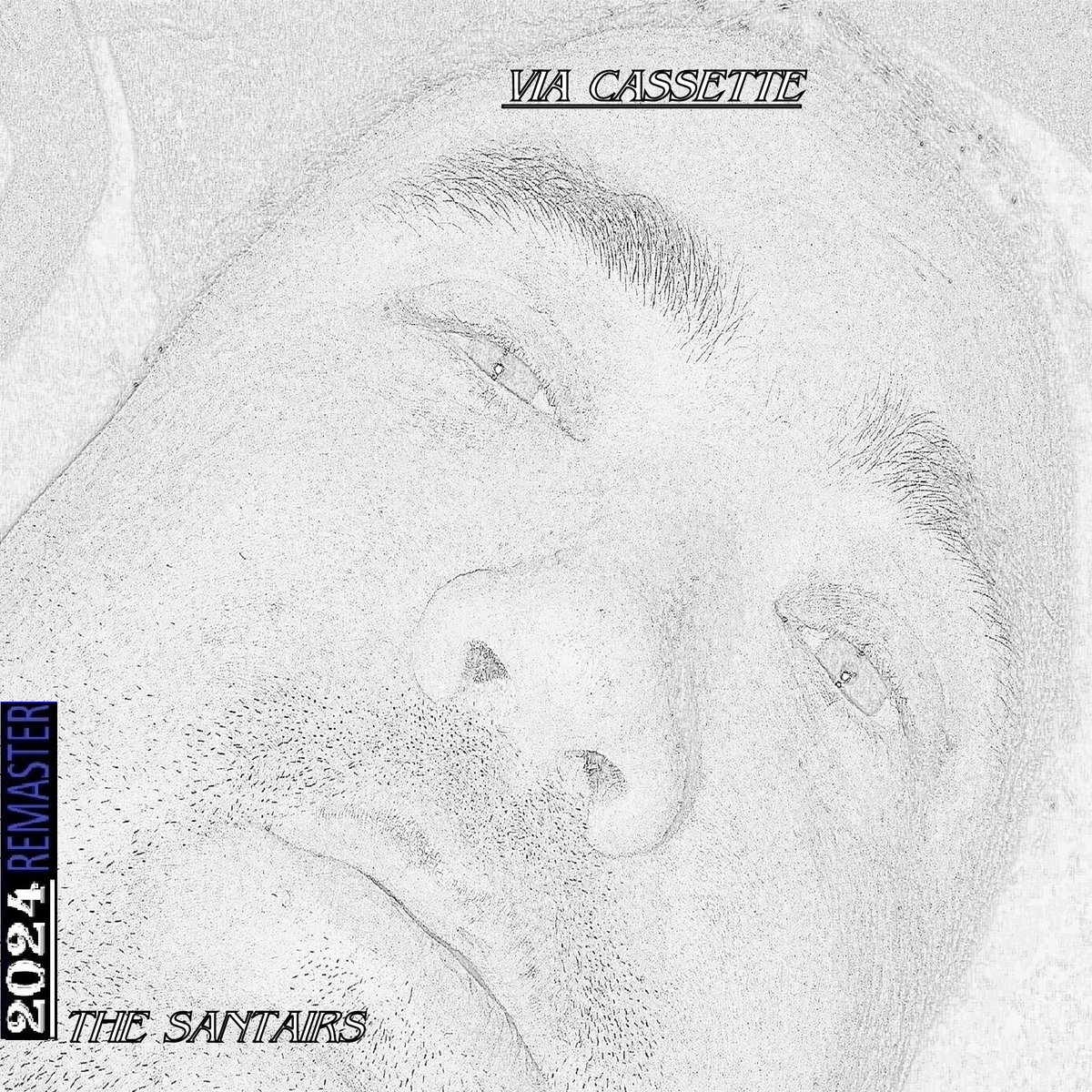 VIA CASSETTE (2024 Remaster) | The Santairs