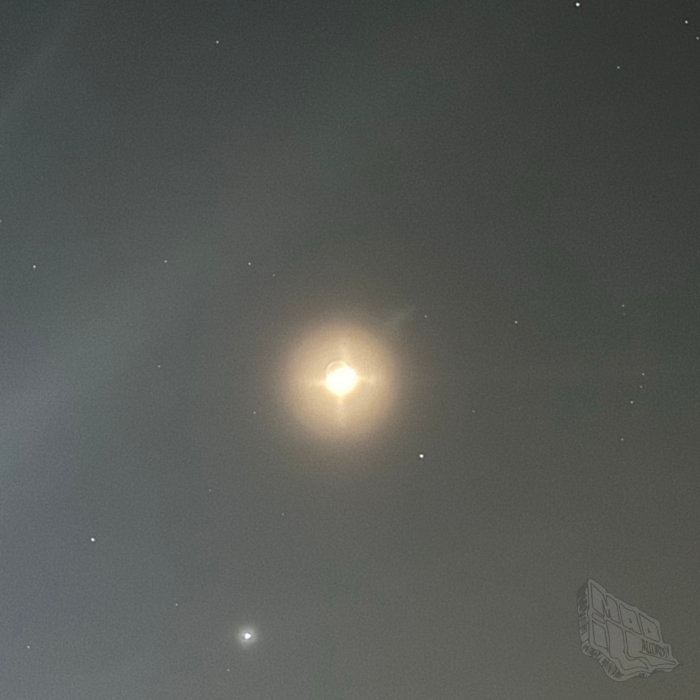 Don't Miss | Ray Robinson