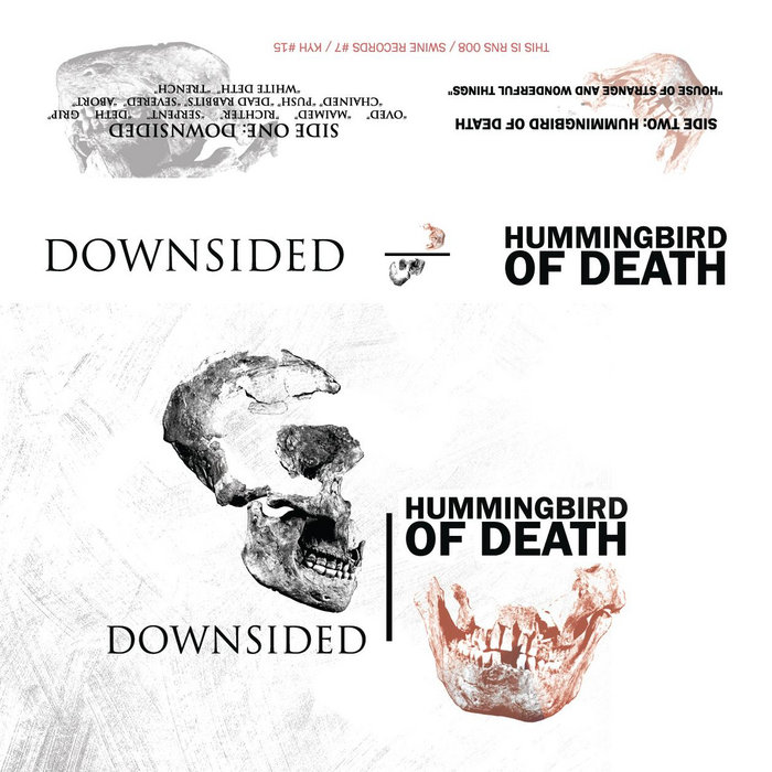 Split w/ Downsided | Hummingbird Of Death