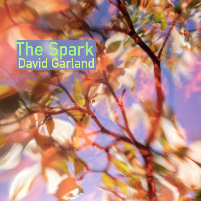 The Spark | David Garland