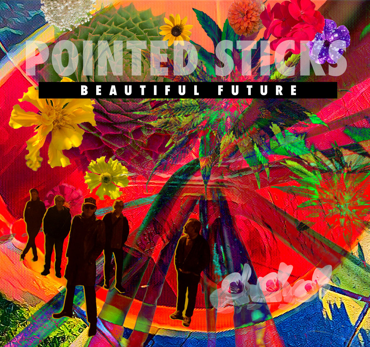 Beautiful Future | Pointed Sticks