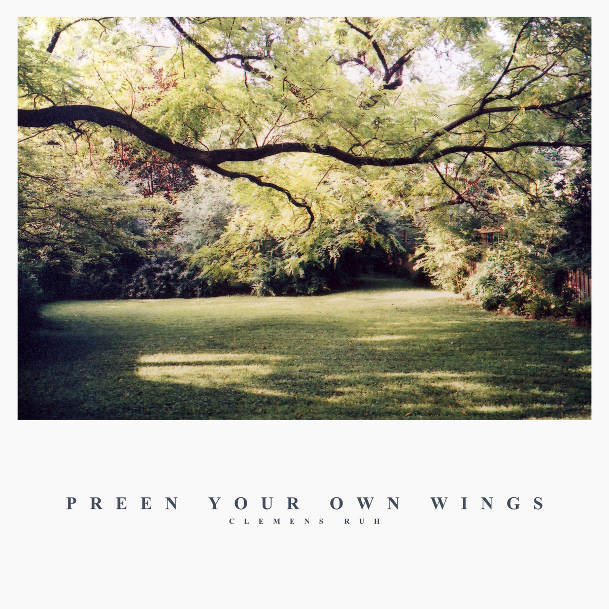 Preen Your Own Wings | Clemens Ruh