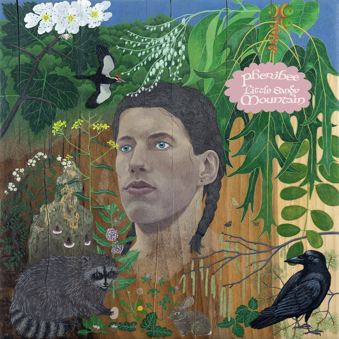 Little Sandy Mountain | April Wilson