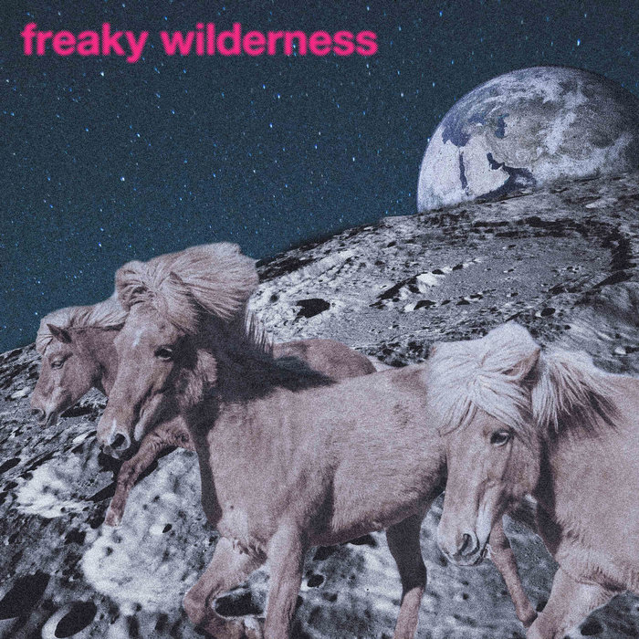 Wind Swept World | Freaky Wilderness