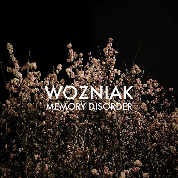 Memory Disorder | Wozniak