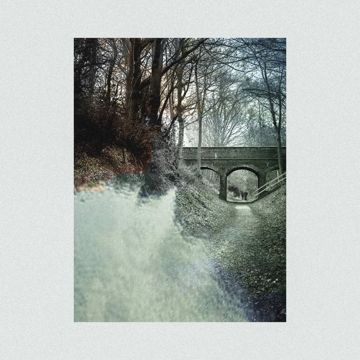 The Darkling Thrush | Common Fires