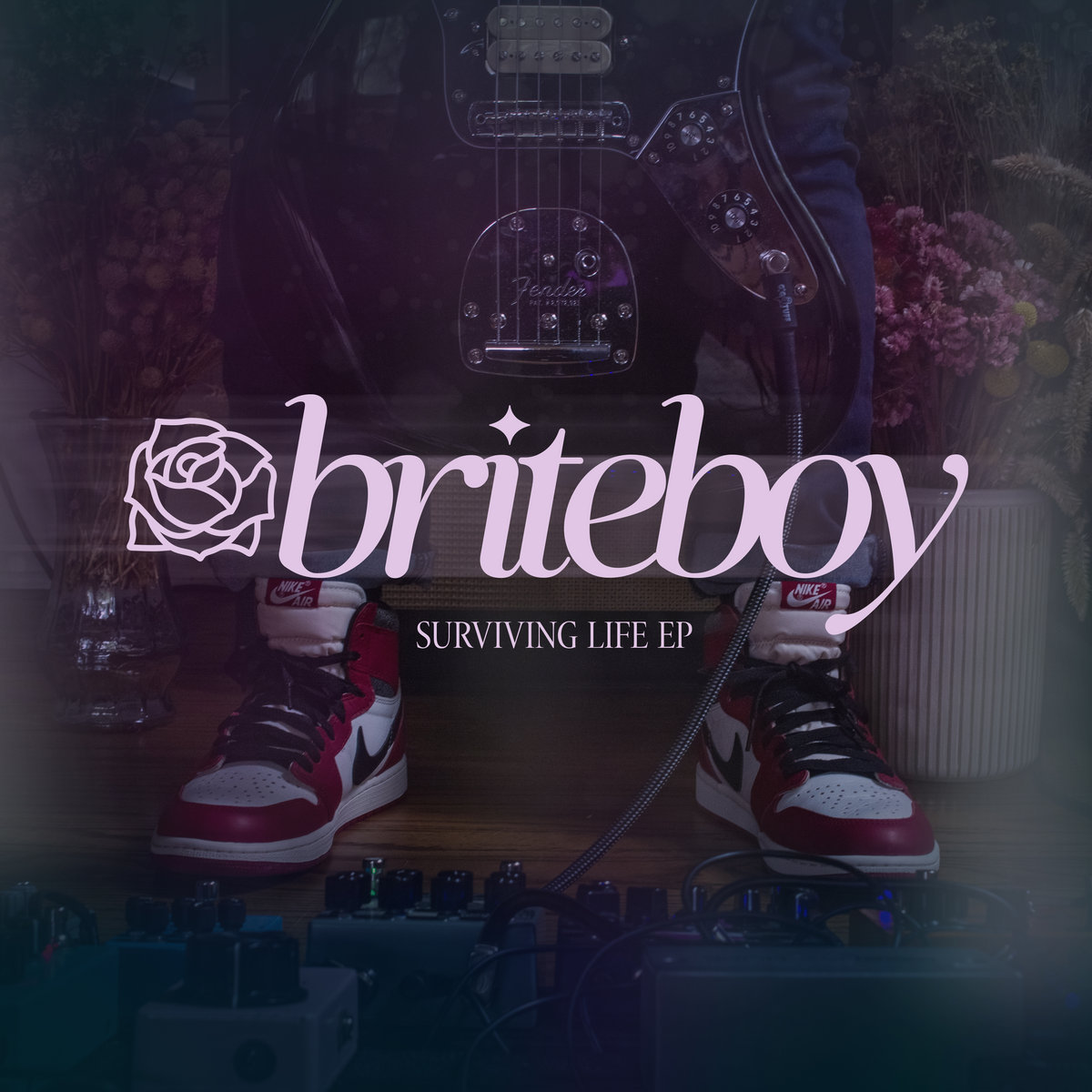 Surviving Life | Brite Boy | Bummer Recordings