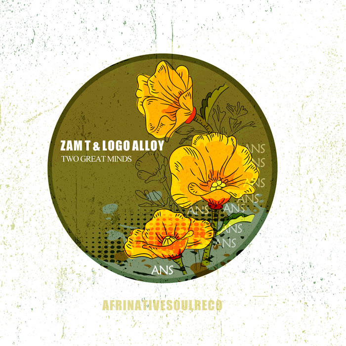 Two Great Minds | Afrinative Soul Records