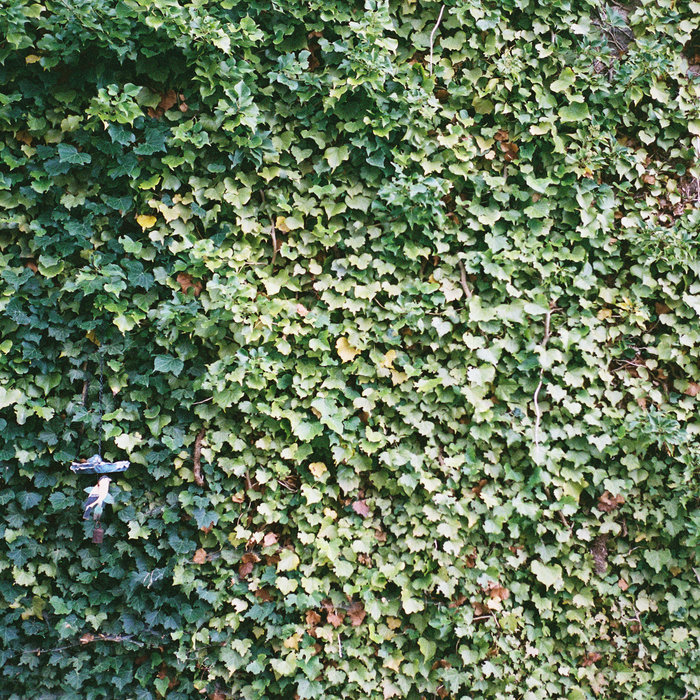 Session with Mme Chandelier & Teddy Tawil | wissam sader