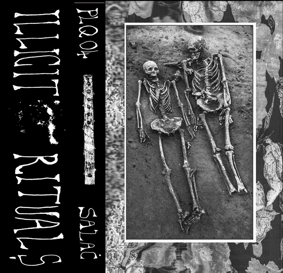 Illicit Rituals | Salac