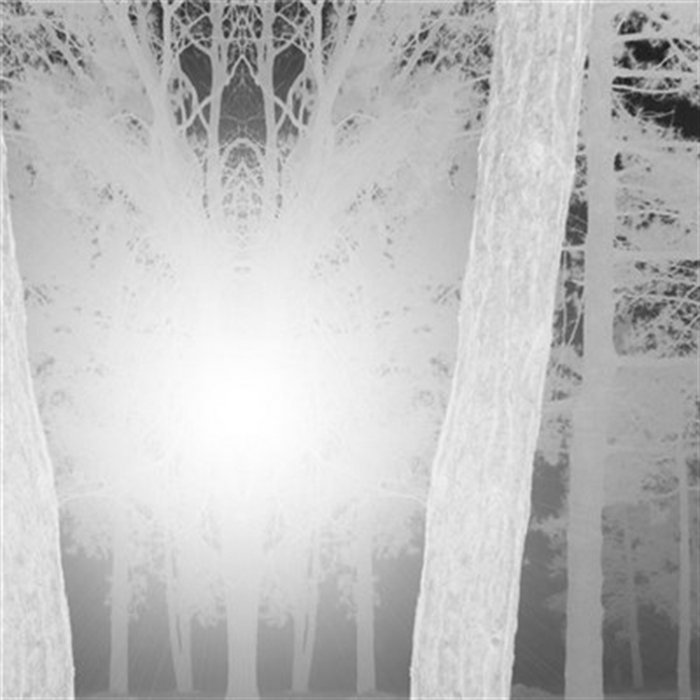 We All Fall | Robert Ferent