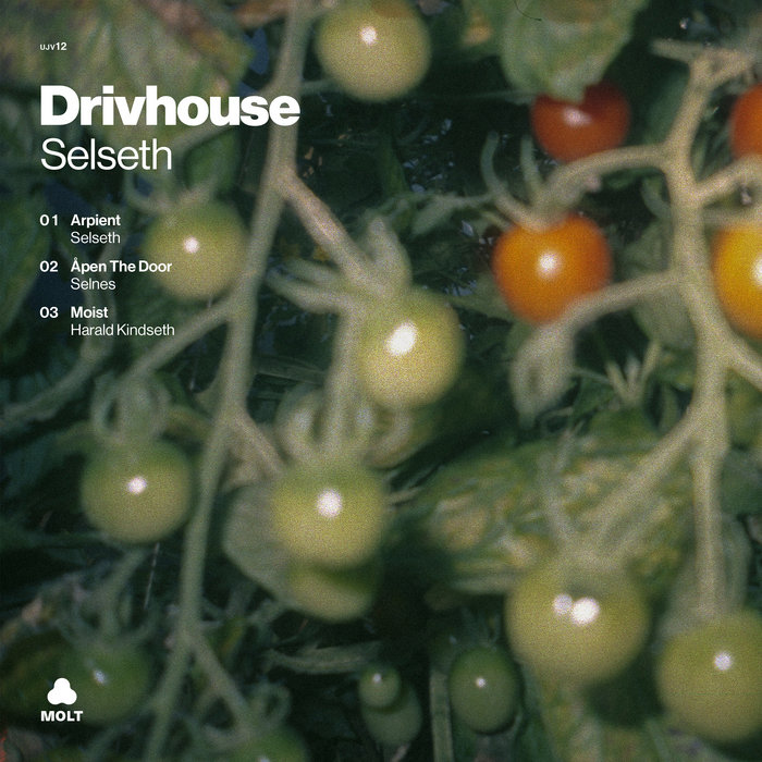 Drivhouse | Selseth | Molt
