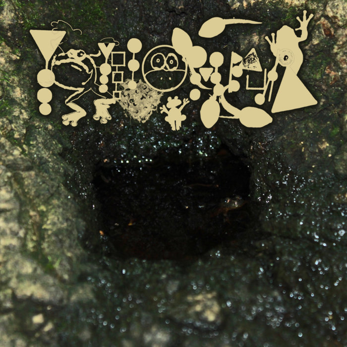 Morass Marks The Vertebrate | Phyllomedusa