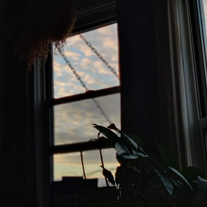 stem growth | Owlson