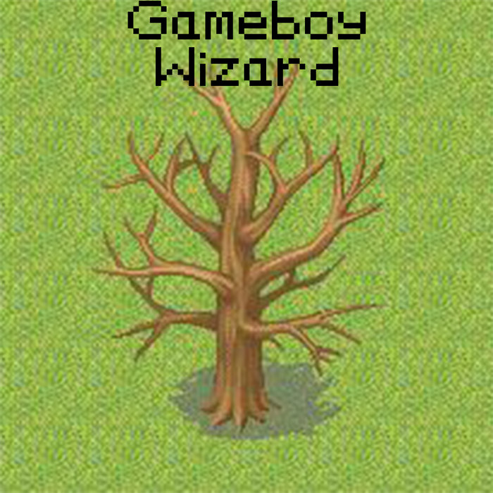 Gameboy Wizard | Gameboy Wizard