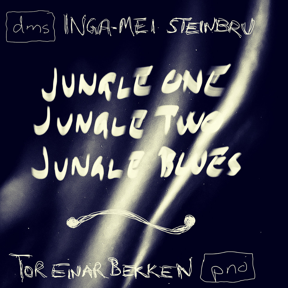 Jungle One Jungle Two Jungle Blues | Bekken & Steinbru | Tor Einar Bekken