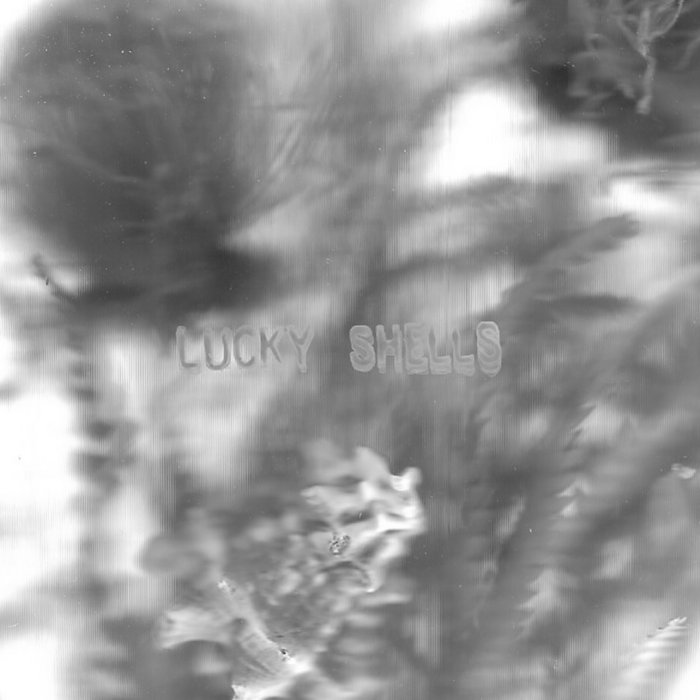 Lucky Shells | Lucky Shells