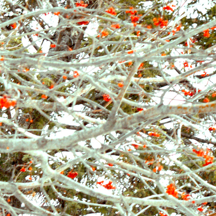 ᐊᔩᑭ ᐲᓯᒼ | wihtikow