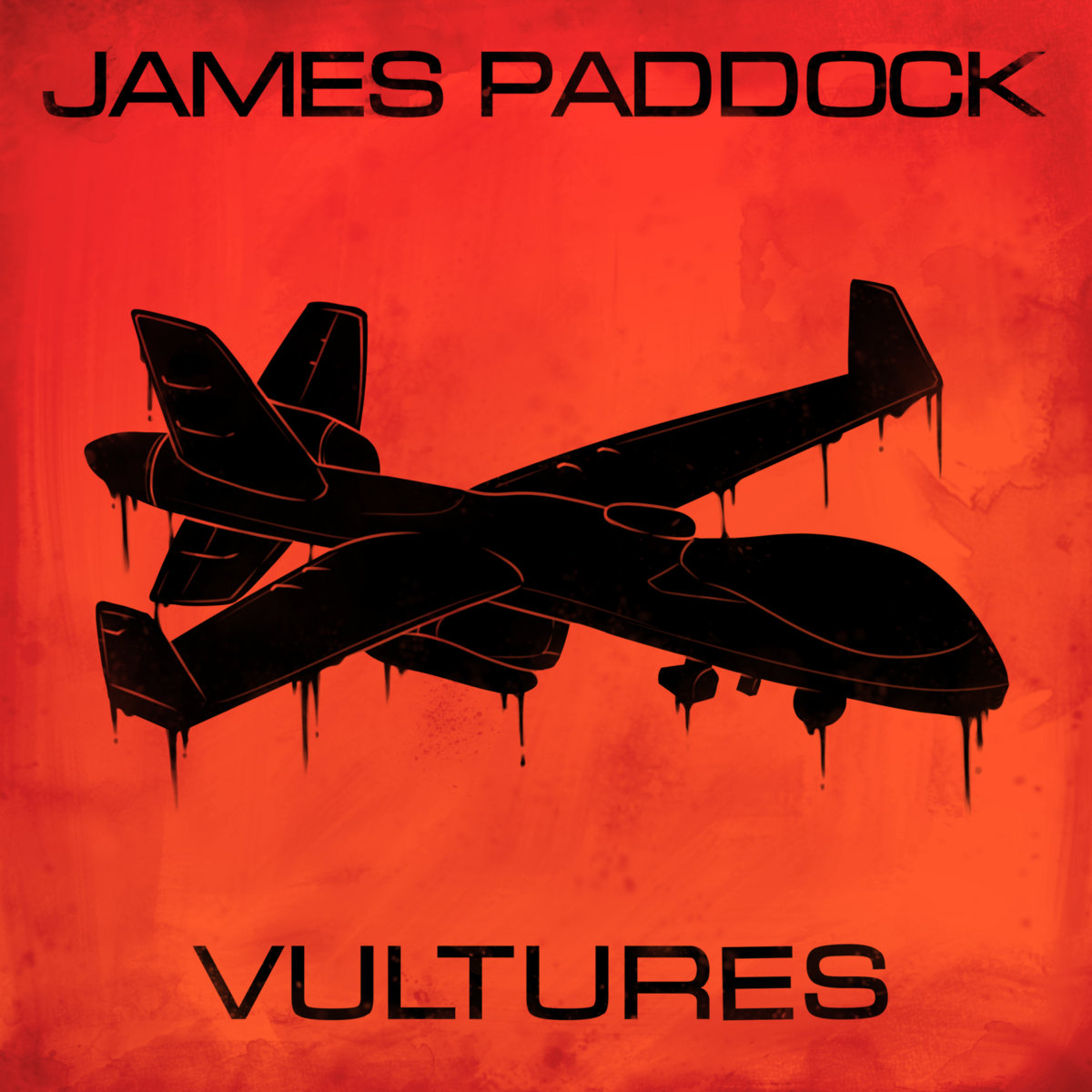 Vultures - SINGLE | James Paddock