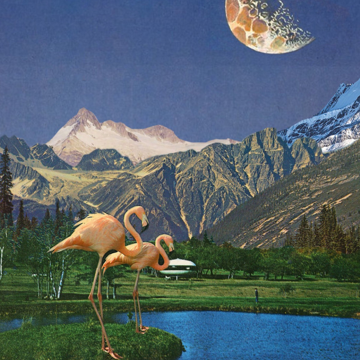 Don't Feed the Birds | Ben Beal