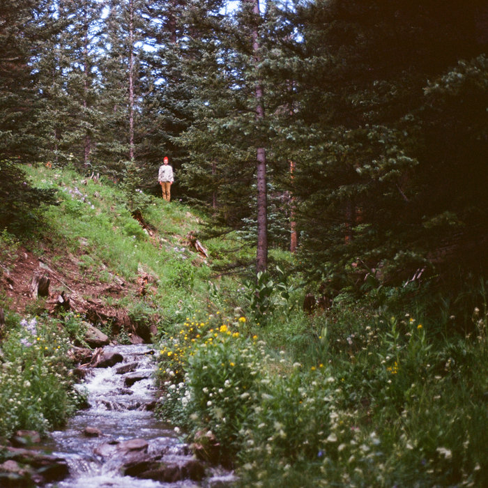 Forest Standards Vol. 3 | David Lord