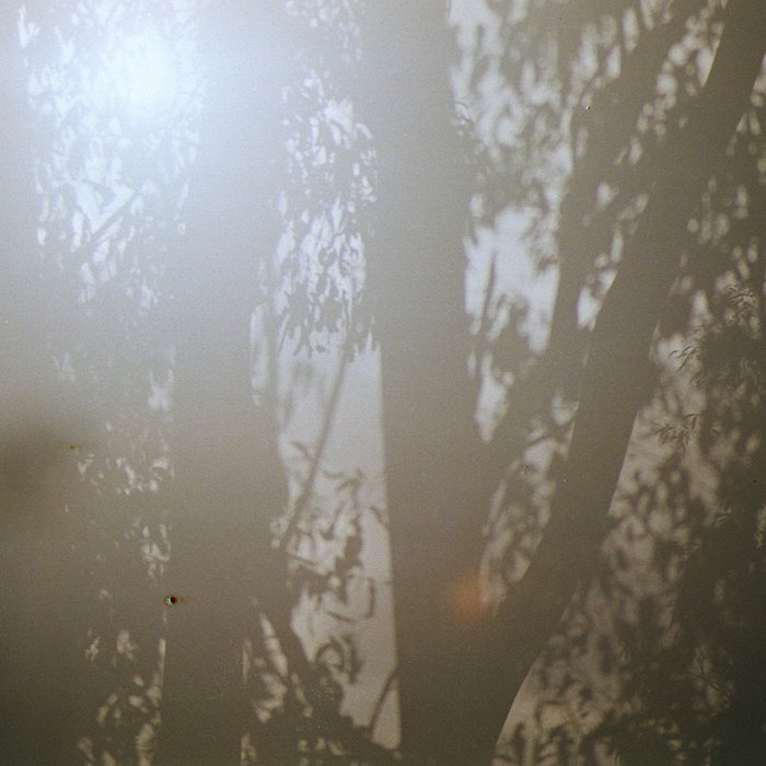 Music For Sleepy Humans | Asher Graieg-Morrison