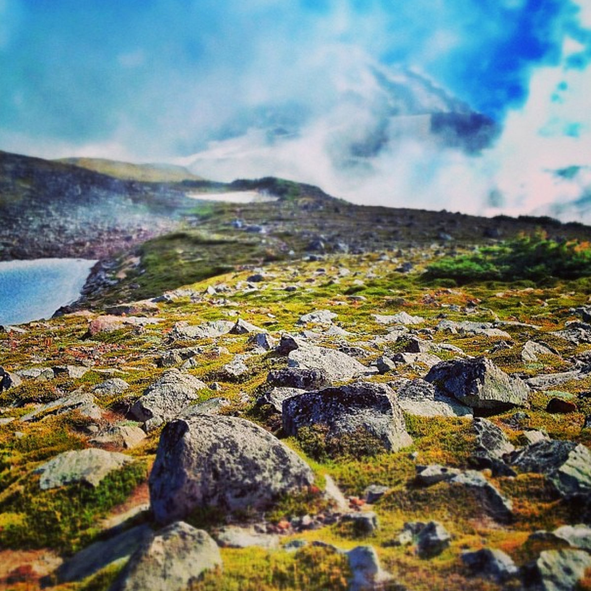 Album #2 | Sam Tanner