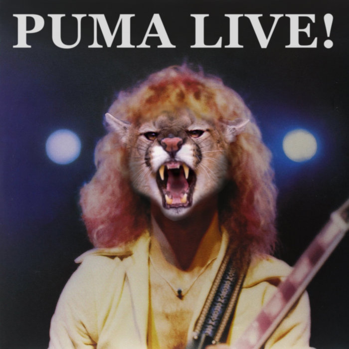 PUMA LIVE! | MountainLion! Puma