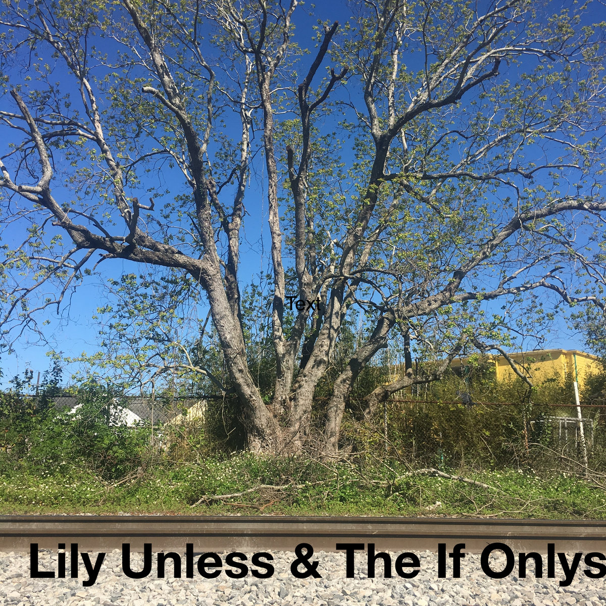 A Real Good Time - The Demos | Lily Unless & The If Onlys