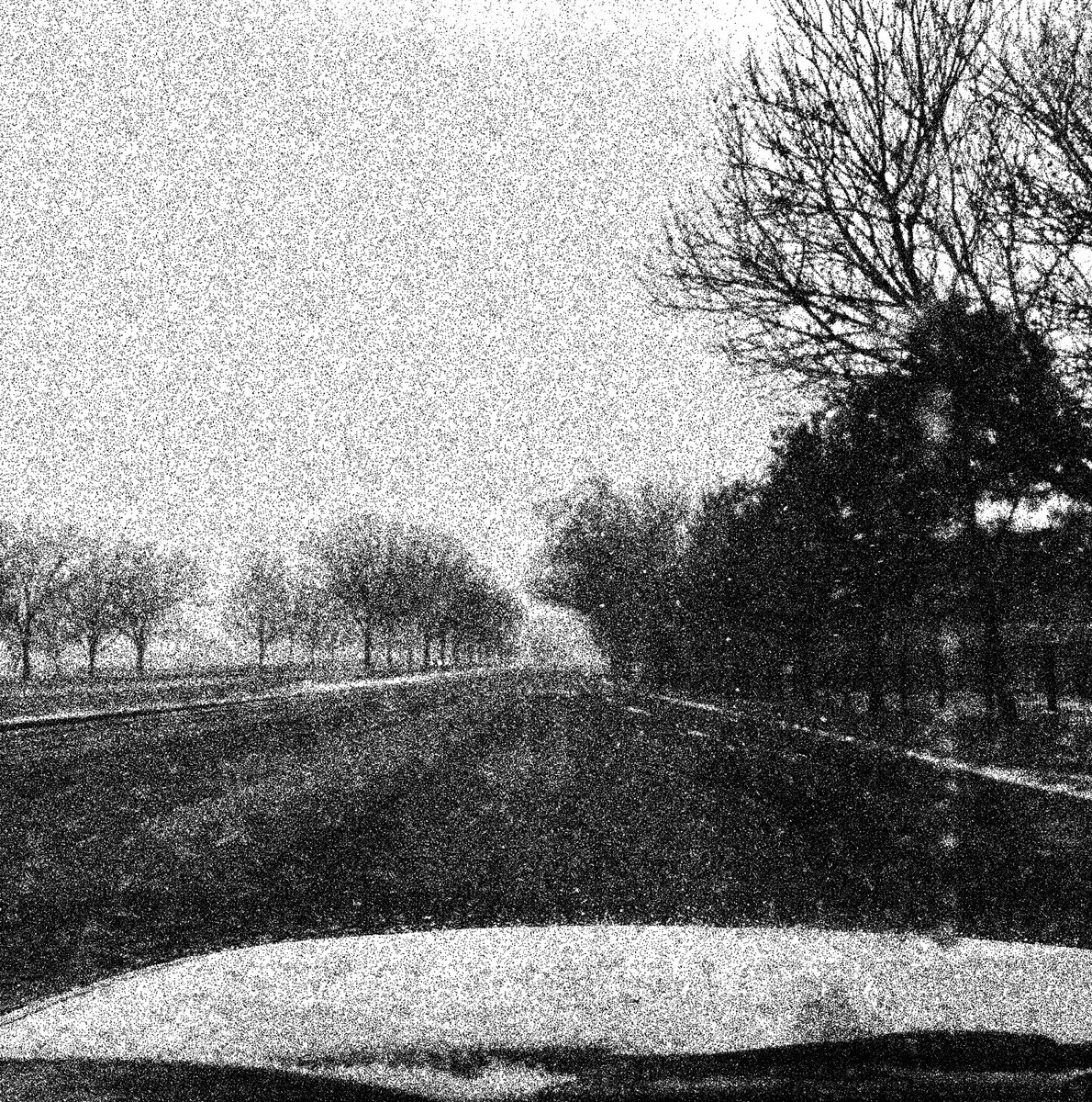 Demos for the somber. | Bleeding Heart Dove