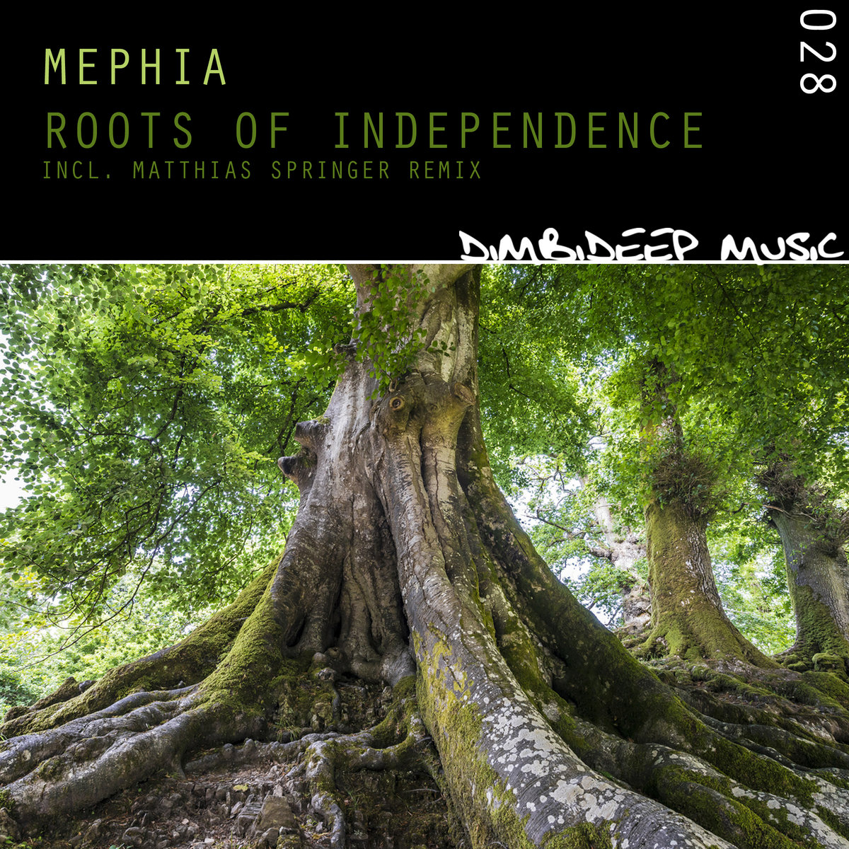 Roots of Independce | Mephia | DimbiDeep Music