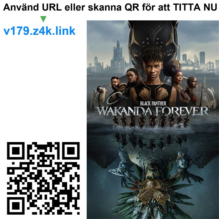 Black Panther: Wakanda Forever | Var att titta online