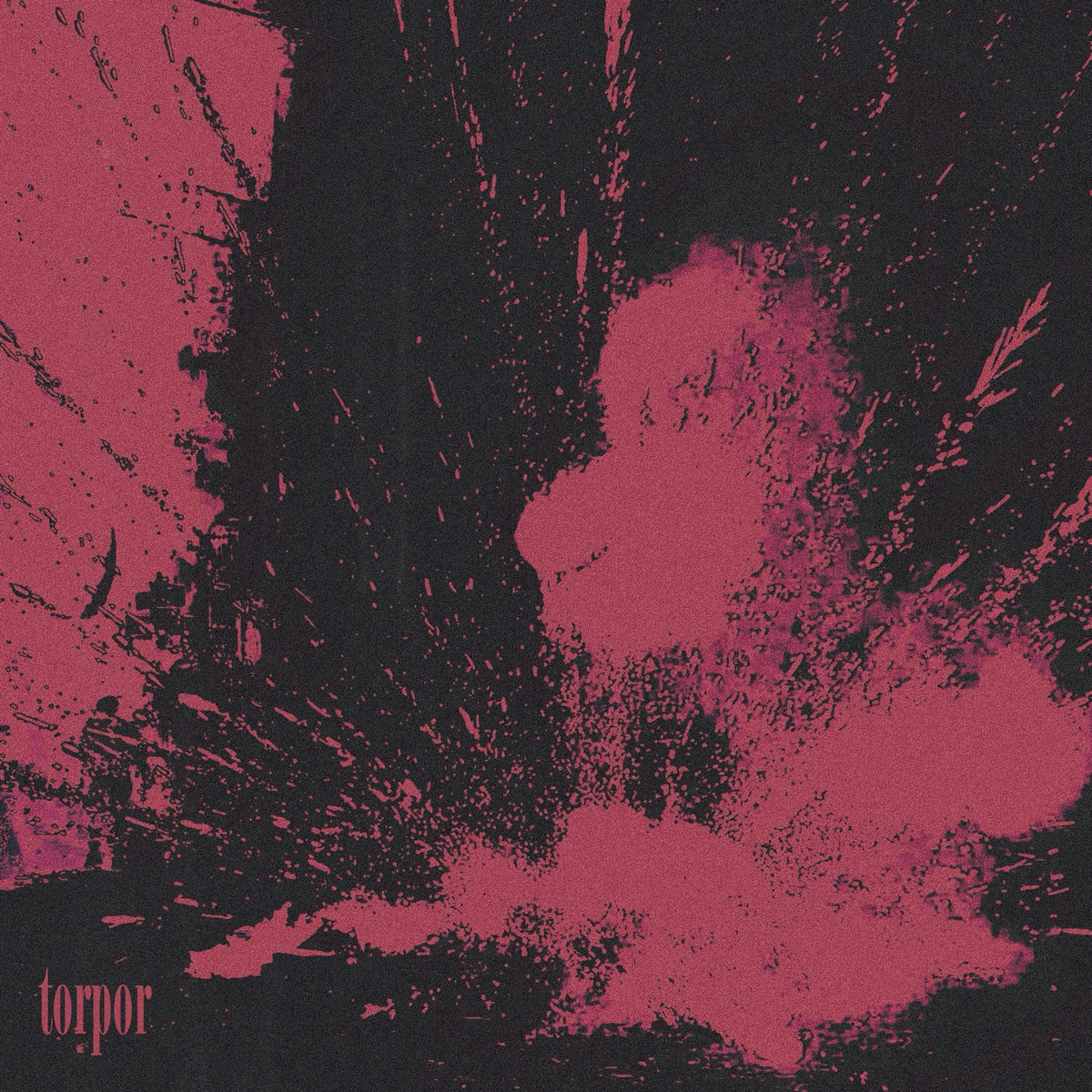 torpor | Demora