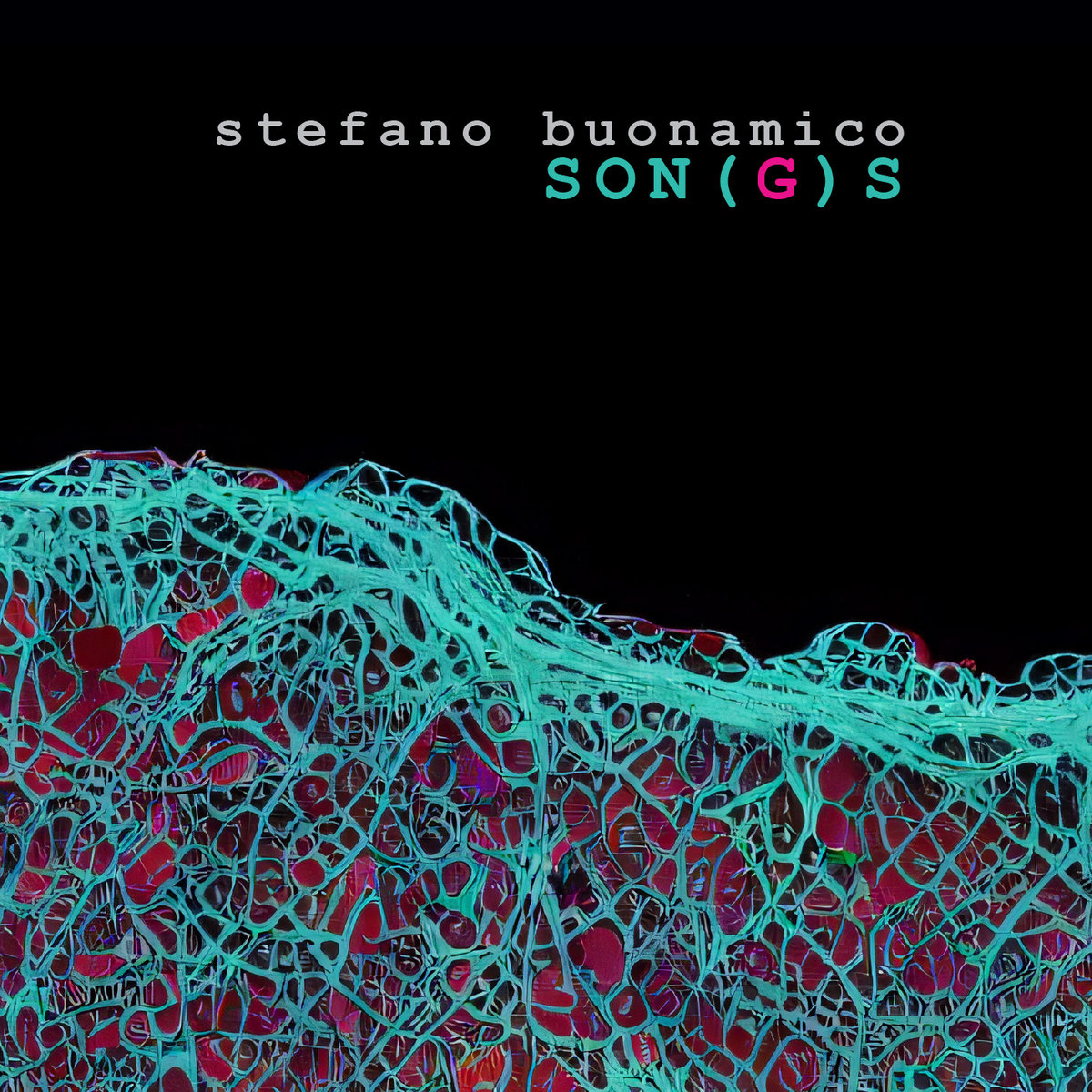 son(g)s | Stefano Buonamico